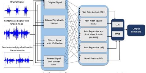 Optimized Filtering Technique Enhances Electromyogram Signal Quality