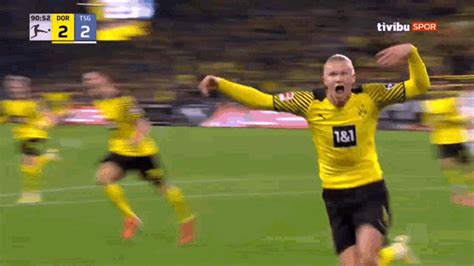 Haaland Haaland Mocking  