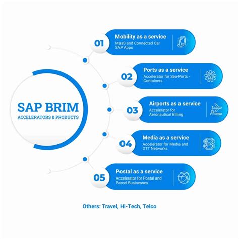 Sap Vim And Brim Services Wysele