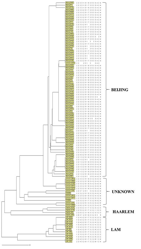 figure dendrogram deduced from clustering analysis of 100 isolates by