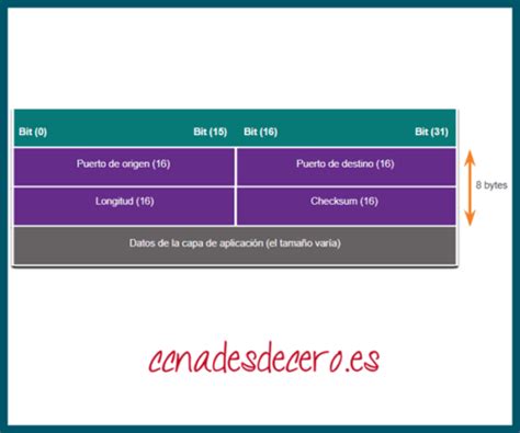 Vulnerabilidades De Tcp Y Udp Ccna Desde Cero