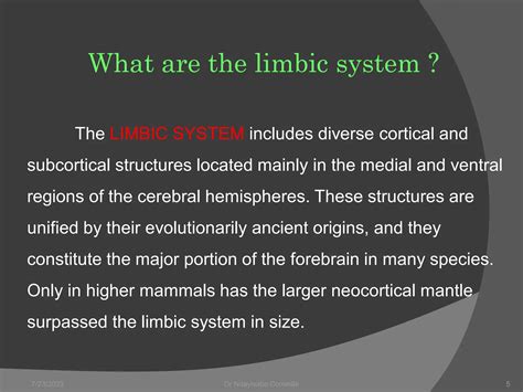 Anatomy And Physiology Of Limbic Systempdf