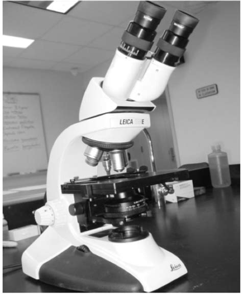 Microbio Lab Practical 1 Diagram Quizlet