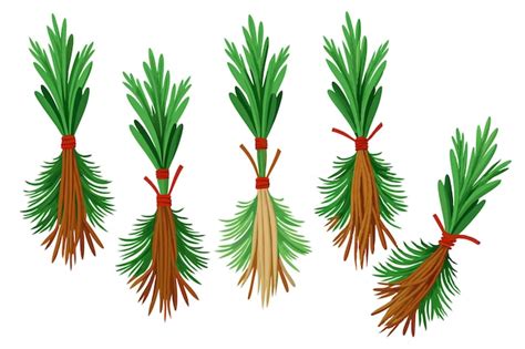 Yew Fringe Color Art Detailed Artistic Expressions Of The Yew Fringe Premium Ai Generated Vector
