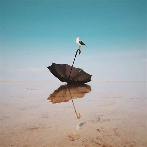 优秀的国产笔记软件，还支持 Markdown