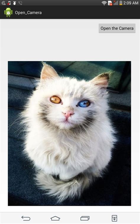 Java Store The Taken Picture From Imageview To The Phone Storage Stack Overflow