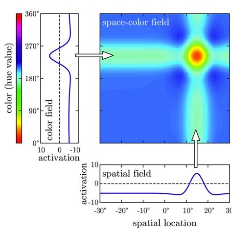 2 Dynamic Neural Field Sigmoid Output Function And Interaction Download Scientific Diagram