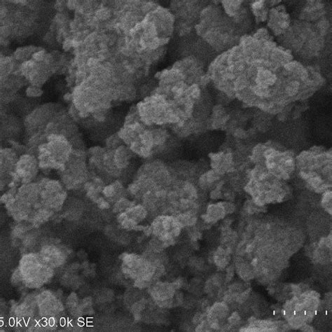 Sem Image Of Tio 2 Nanoparticles Download Scientific Diagram