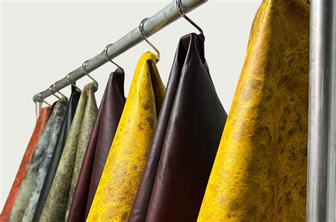 Biomaterial Celium May Replace Traditional Leather Polybion Coo