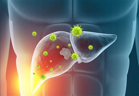 ไวรัสตับอักเสบบี Hepatitis B Virus Pribta Tangerine