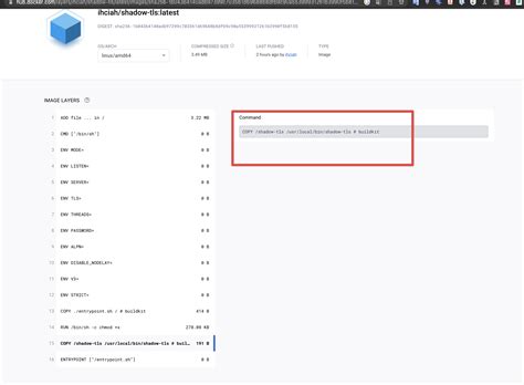 Issue Ihciah Shadow Tls Github