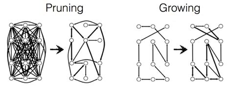 Algorithms And Life Heidelberg Laureate Forum Scilogs Wissenschaftsblogs