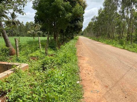 10 Acre Agricultural Farm Land For Sale In Doddaballapur Bangalore