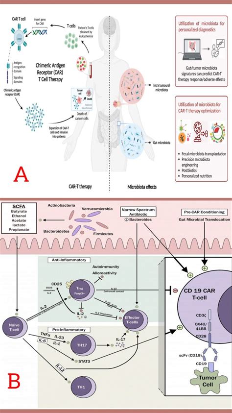 Rana Tharwat Posted On Linkedin