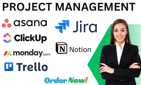 Manage Setup And Integrate Clickup Notion Asana Trello Jira By Chineme1 Fiverr