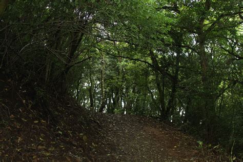 Parque Fraijanes Instituto Costarricense Del Deporte Y La Recreación Icoder
