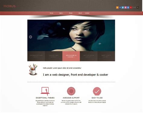 70 Free Responsive Html5 Css3 Templates Webprecis