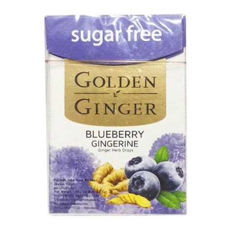 Jual Golden Ginger Flip Top Sugar Free Blueberry Gingerin 45gr Hbhoz