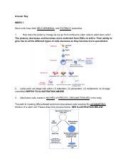 MCB 38 Pre Exam 1 Worksheet ANSWER KEY Pdf Answer Key WEEK 1 Stem Cells Have Both SELF RENEWAL