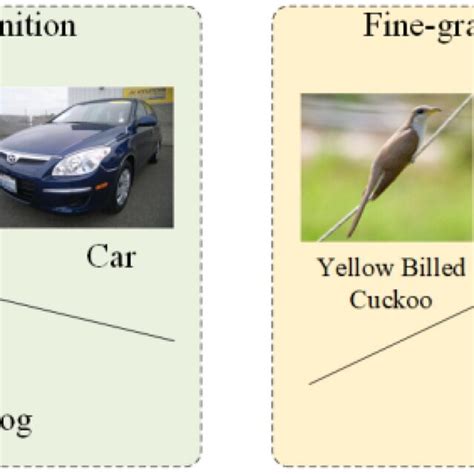 General Image Recognition Vs Fine Grained Image Recognition Download Scientific Diagram