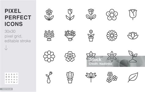 꽃선 아이콘 세트입니다 꽃병에 있는 튤립 과일 꽃다발 봄 꽃 선인장 최소한의 벡터 그림 꽃 배달 응용 프로그램에 대한 간단한 개요 표지판 30x30 픽셀 완벽한 편집 가능한