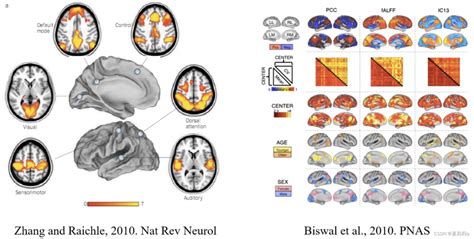 静息态功能磁共振成像 rs fmri 原理与数据分析学习笔记（1）：resting state fmri 静息态功能磁共振成像