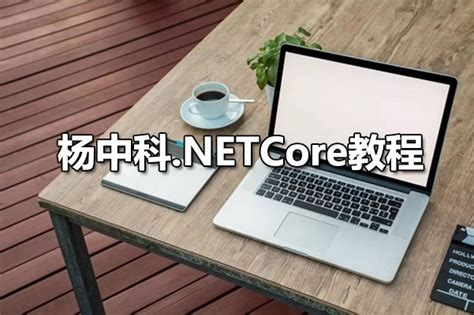 杨中科 NETCore综合案例与项目实战视频教程 百万资源网