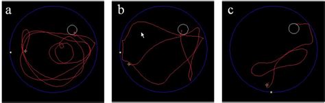 escape latency of senescence accelerated mouse prone 8 samp8 a