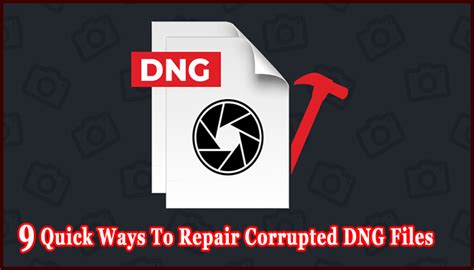 How To Repair Corrupt Or Damaged DNG Files Easily