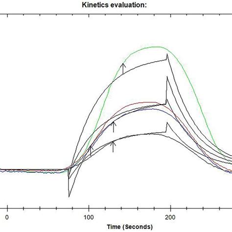 The SPR Curve Of Interaction Between DNA And Various Concentrations Of Download Scientific