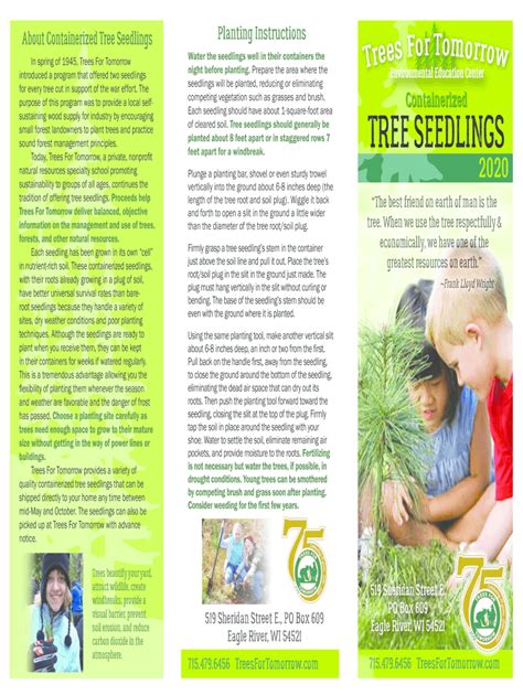 Fillable Online About Containerized Tree Seedlings Planting