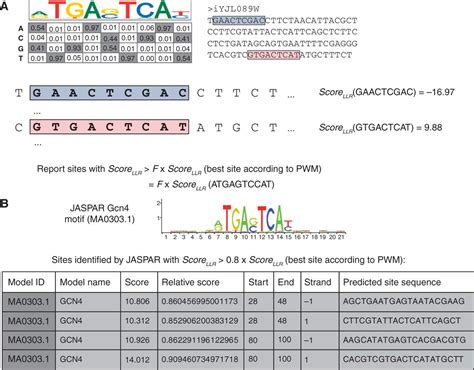 Transcription Factor Dna Binding Motifs In Saccharomyces Cerevisiae Tools And Resources