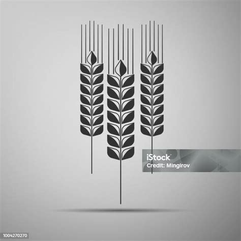 시리얼 아이콘 설정으로 쌀 밀 옥수수 귀리 호 밀 보 리에 고립 된 회색 배경 서명 귀 밀 빵 기호입니다 농업 밀 기호입니다 평면 디자인입니다 벡터 일러스트 레이 션 가을에