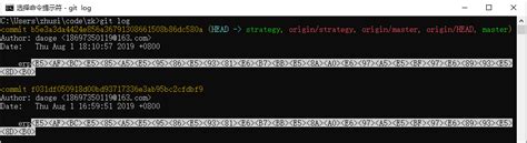 Idea中terminal中的git Log显示中文异常问题 Csdn博客