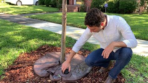 Rap Releaf Tree Care Youtube