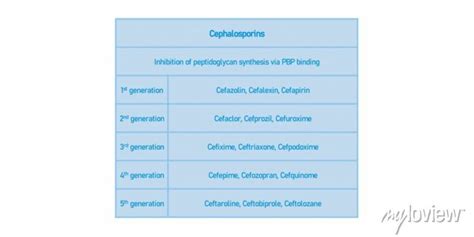 Table Showing Classification Of Cephalosporin Antibiotics By • Wall Stickers Organic Chemistry