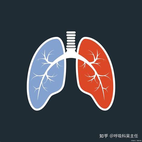 肺泡性肺气肿的类型 知乎