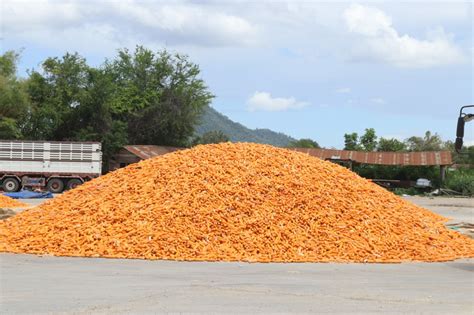 ក្រសួងកសិកម្ម ក្រសួងកសិកម្ម រុក្ខាប្រមាញ់ និងនេសាទ