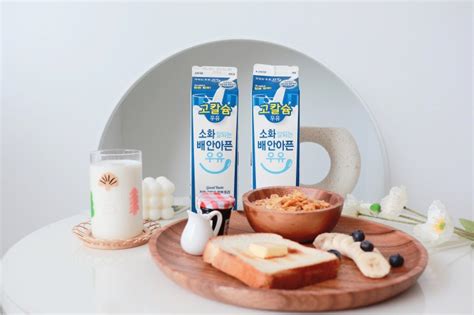 소화 잘되는 유당 제거 우유 남양 락토프리 고칼슘 우유 추천 네이버 블로그