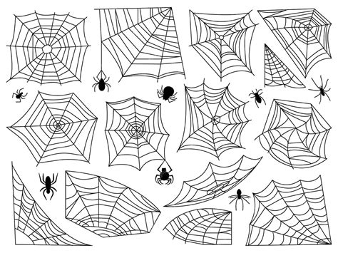 Premium Vector Isolated Spider Web And Spiders Black Set Halloween Graphics Cobweb Corners And