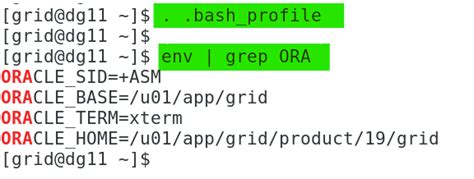 Step By Step Asm Grid Installation In Oracle Standalone