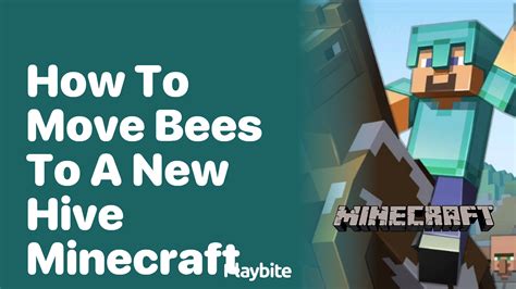 How To Move Bees To A New Hive In Minecraft Playbite