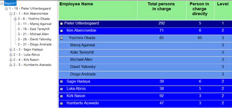 Managing Recursive Group On SSRS Reporting Services Reports SQLServerCentral