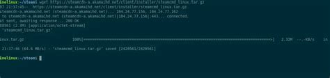 How To Install Steamcmd On Debian 11 Imaginelinux