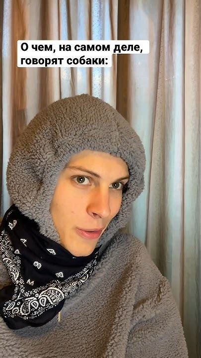 О чем общаются собаки Youtube