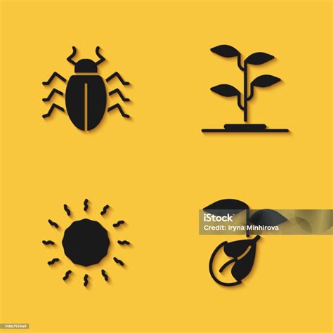 콜로라도 딱정벌레 새싹 태양 및 아이콘을 긴 그림자로 설정합니다 벡터 0명에 대한 스톡 벡터 아트 및 기타 이미지 0명 감자 요리 검은색 Istock