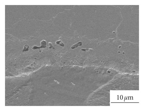 The Sem Morphology Of Bonding Layer At Different Reduction Rates