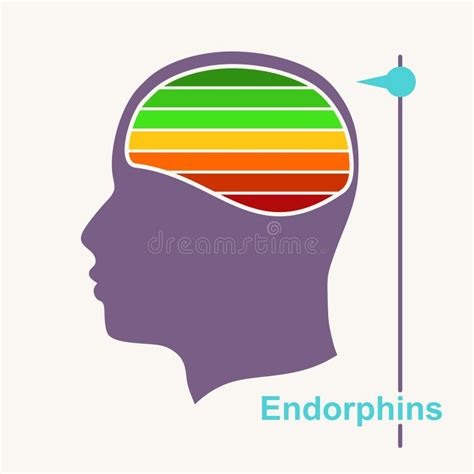 Human Head And Abstract Meter With Scale Reading Level Of Endorphins Stock Vector Human Head And Abstract Meter With Scale Reading Level Of Endorphins Stock Vector