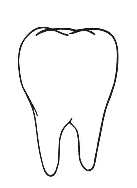 عکس دندان برای نقاشی کودکان