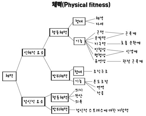 체력physical Fitness이란 체력의 요소 네이버 블로그